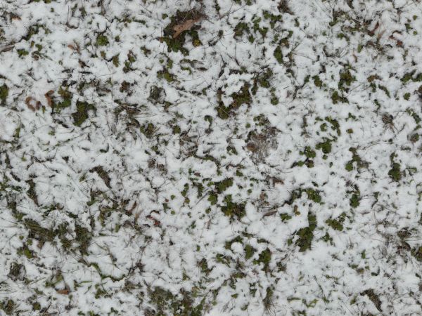 frozen ground texture 0047 - Texturelib